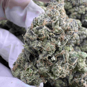 Flower – iamlegend1 Shop