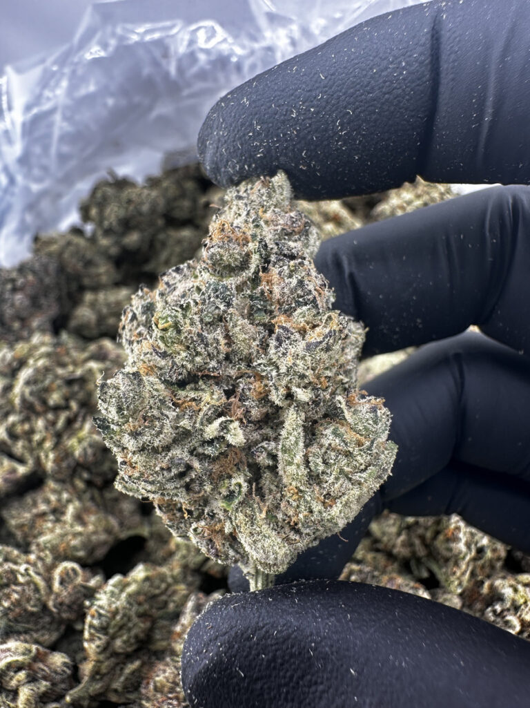 Lemonheads 30.8% THCA – iamlegend1 Shop