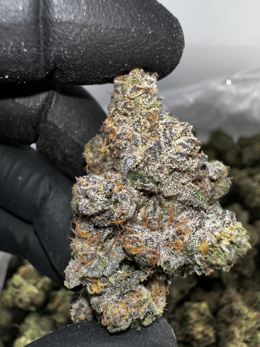 Gen Z 30.2% THCA – iamlegend1 Shop